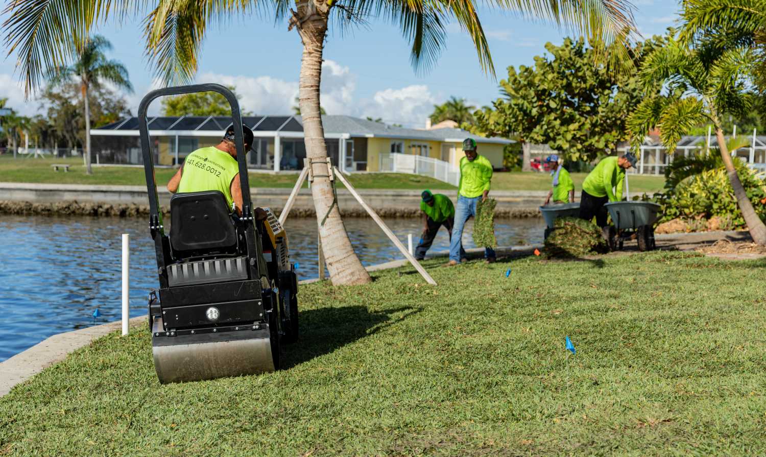 Can You Reuse Pulled-Up Grass? - Bethel Farms