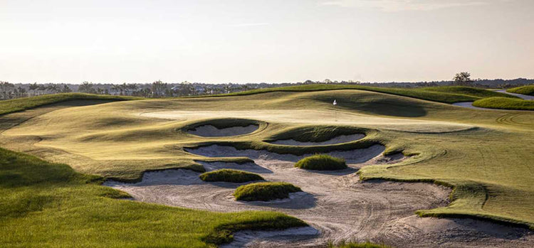 Private Golf Course Features BIMINI® Grass - Bethel Farms