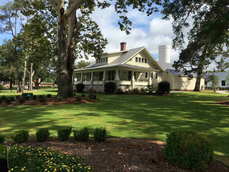 Can You Grow Grass in Shade? Tips for Success - Bethel Farms