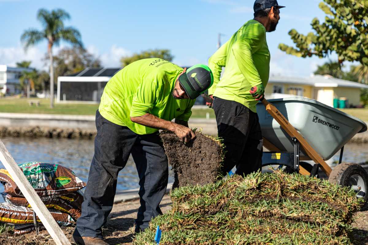 What to Look For in Lawn Care Quotes - Bethel Farms