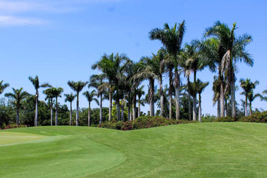 5 Reasons to Install This Improved Bermudagrass - Bethel Farms