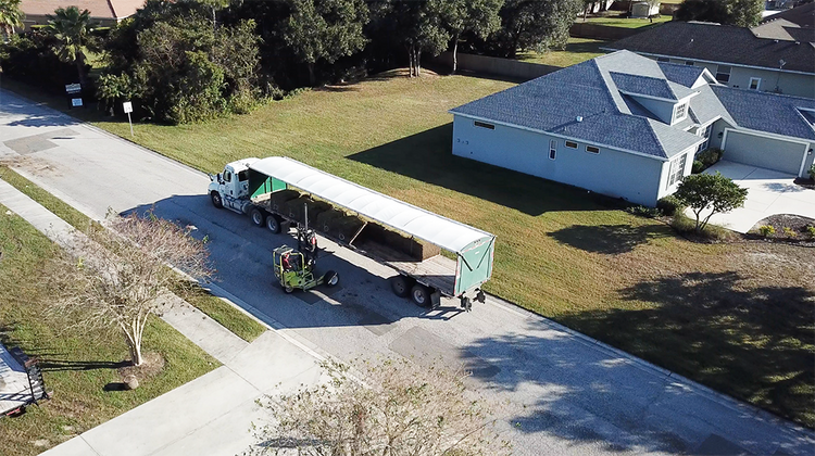 Bethel Farms Your Destination For Premium Quality Grass