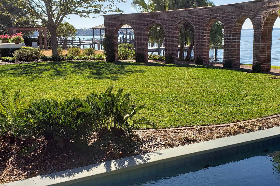 CitraBlue® St. Augustine - Premium Grass - Bethel Farms